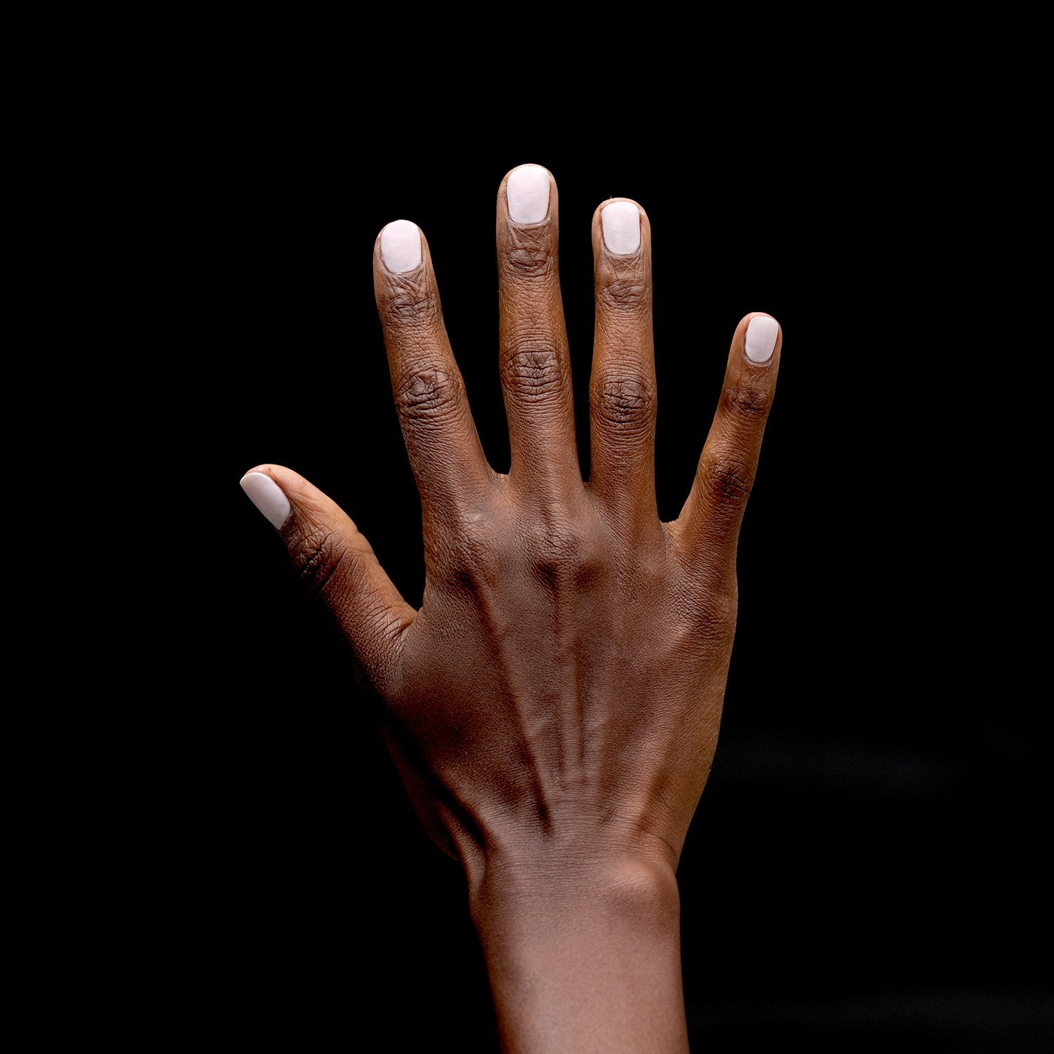 POISED – Dazzle Dry Australasia